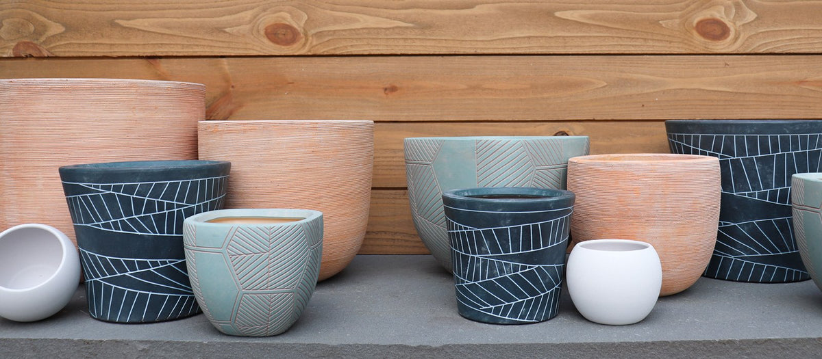 Pots & Planters – BloomBox