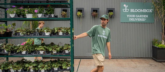 Contact Us – BloomBox