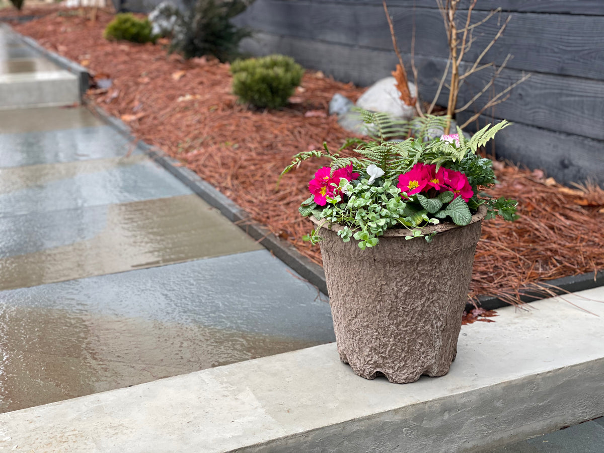 Drop-In Planter Subscription with 2 FREE Urns – BloomBox