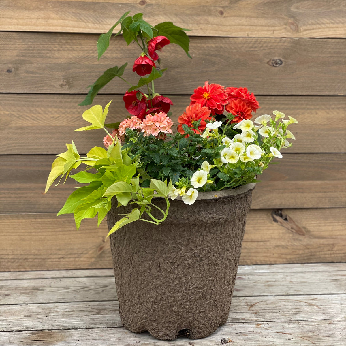 Drop-In Planter Subscription – BloomBox