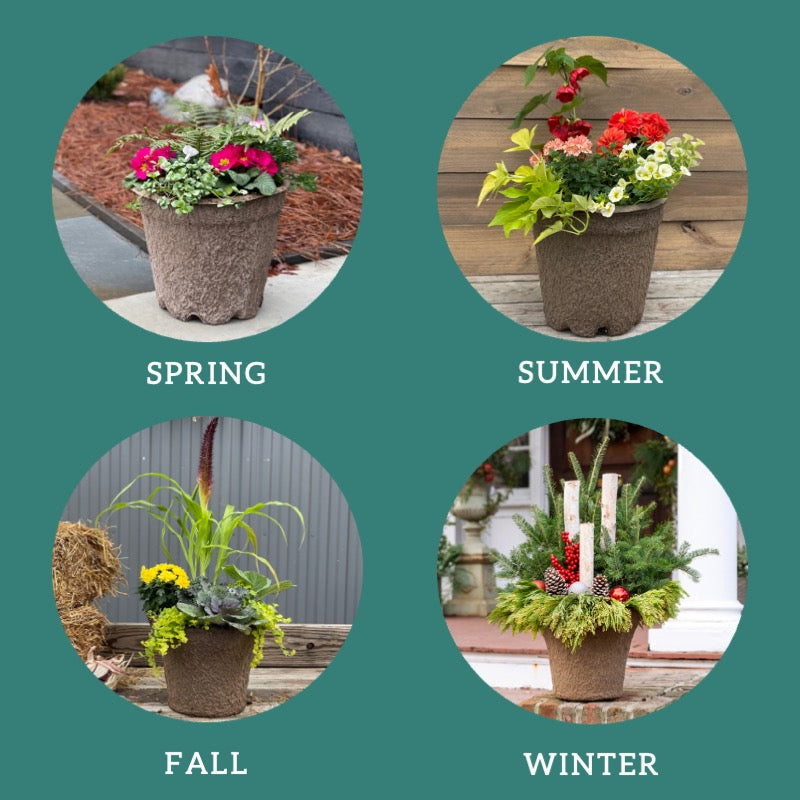 Drop-In Planter Subscription – BloomBox